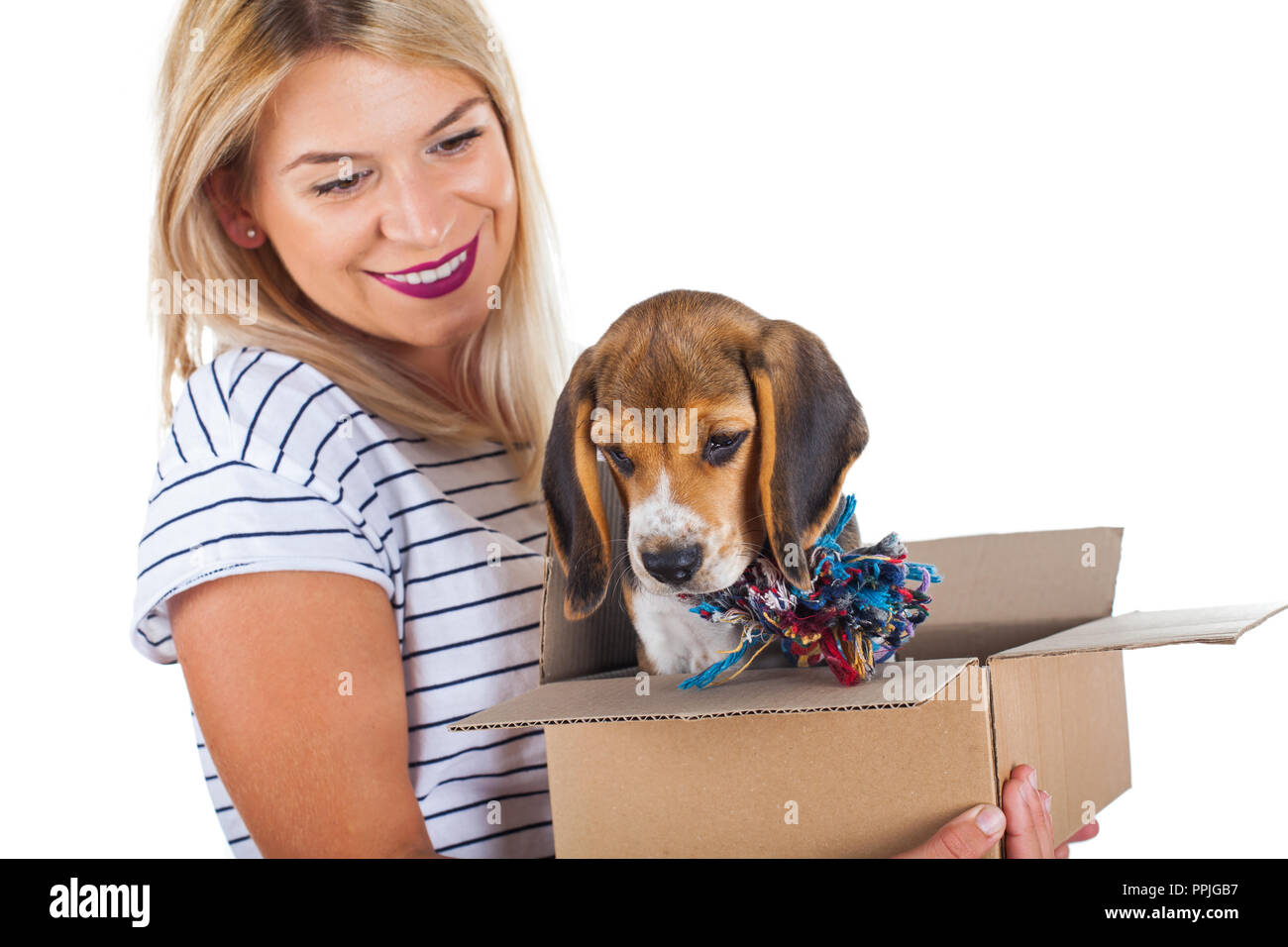 Young woman holding beagle hi-res stock photography and images - Alamy