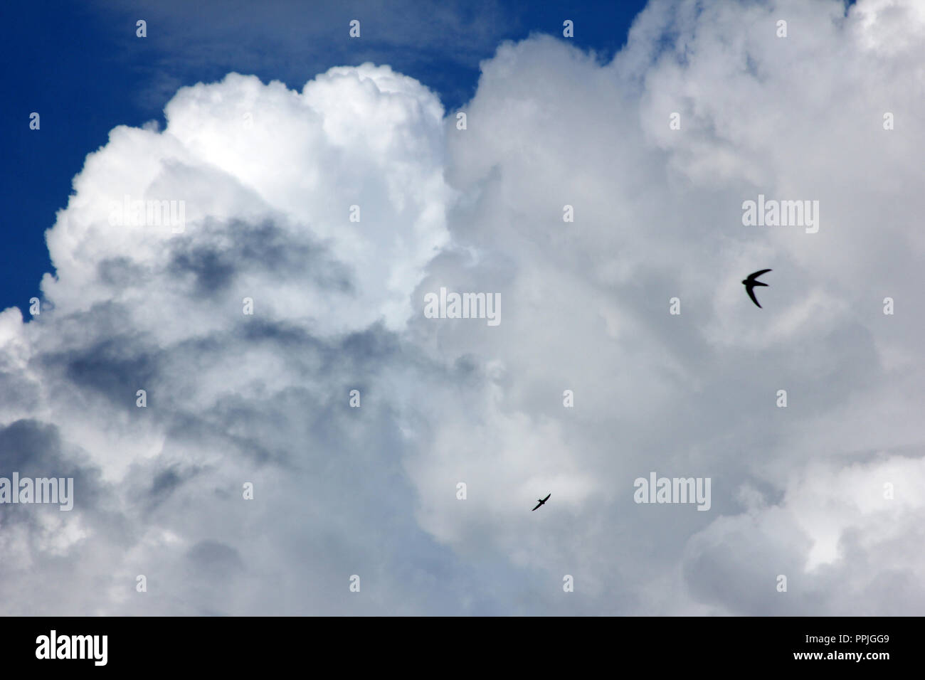 Deep blue sky with scattered cloud hi-res stock photography and images ...