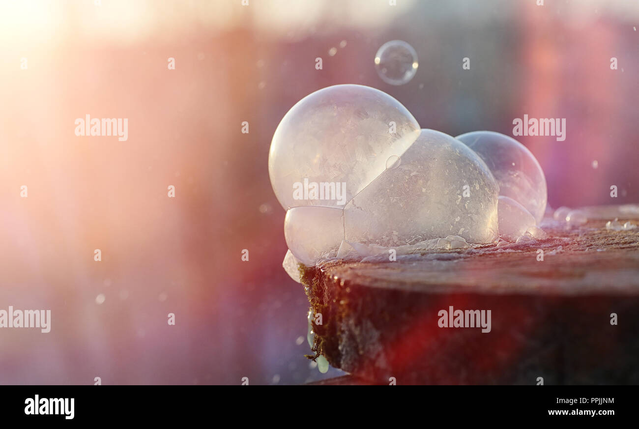 Soap bubbles freeze in the cold. Winter soapy water freezes in t Stock ...