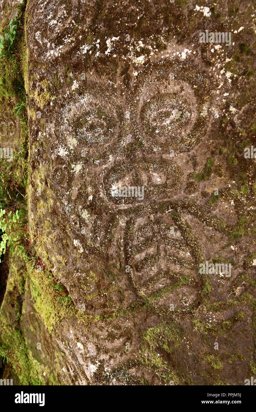 Nuxalk First Nations People High Resolution Stock Photography and ...