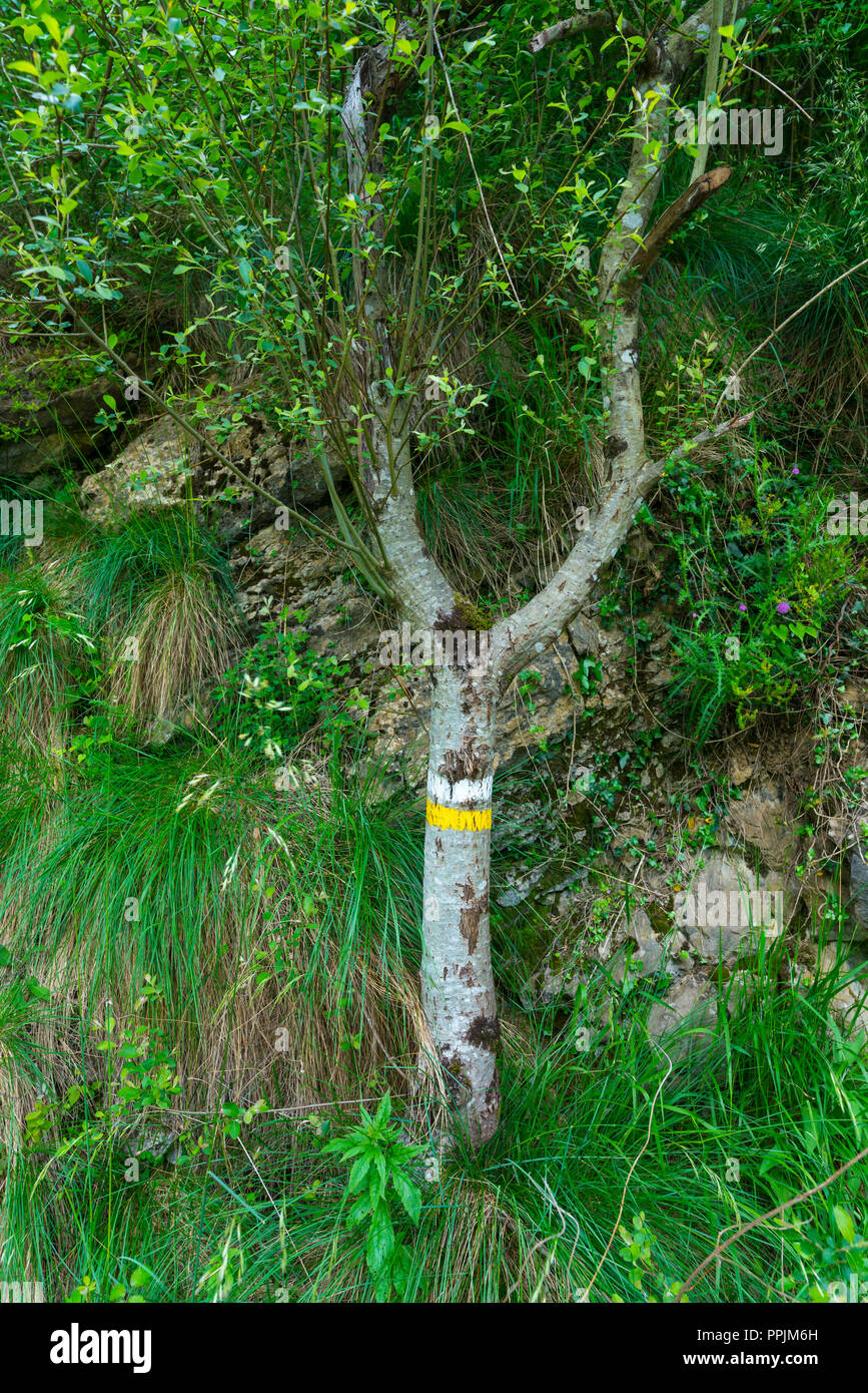 Hiking trail signs, Atxarte canyon, Mendiola neighborhood, Urkiola ...