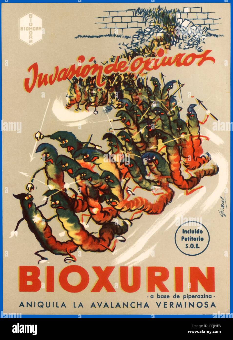 Pinworms hi-res stock photography and images - Alamy