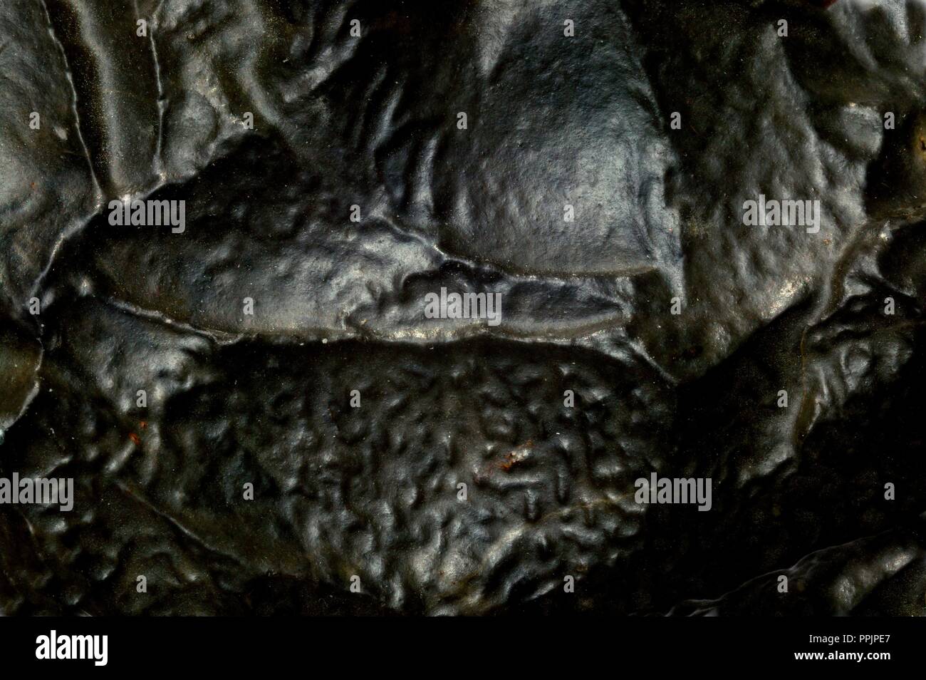 MINERALS: DETAIL OF WIND-ERODED STONE, SAHARA DESERT Stock Photo - Alamy