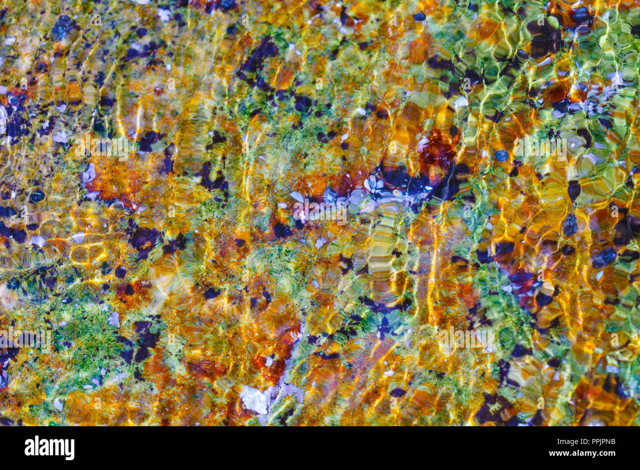 Colorful stones and rocks along the beach Stock Photo - Alamy