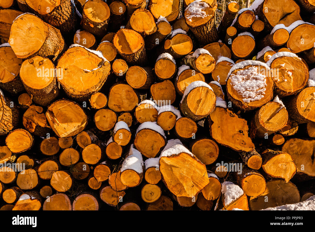 Logging Hartland, Connecticut, USA Stock Photo - Alamy