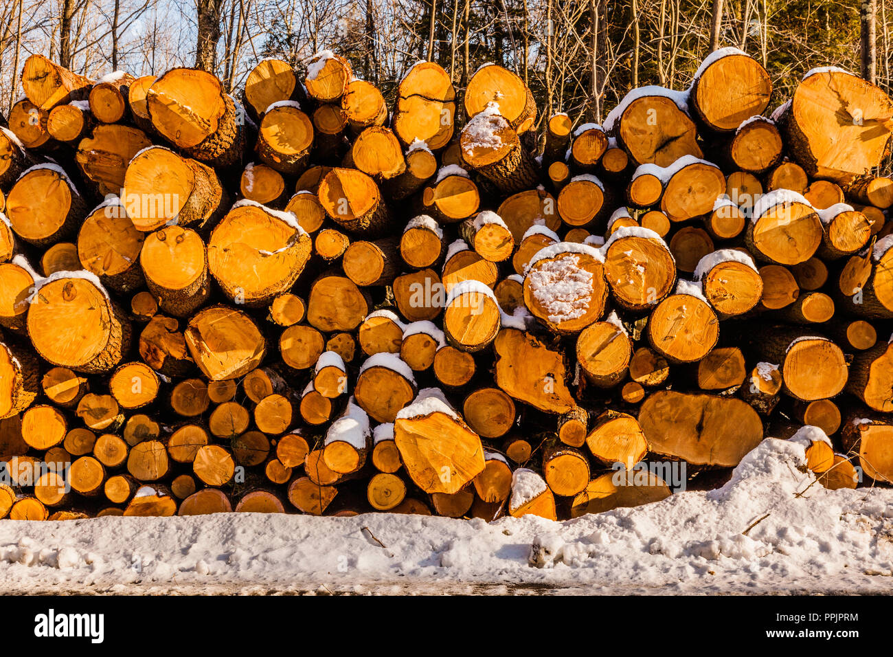 Logging Hartland, Connecticut, USA Stock Photo - Alamy