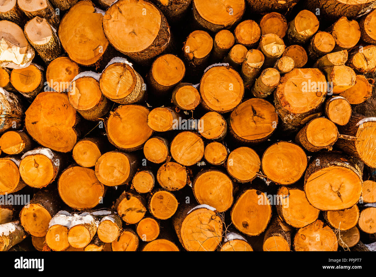 Logging Hartland, Connecticut, USA Stock Photo - Alamy