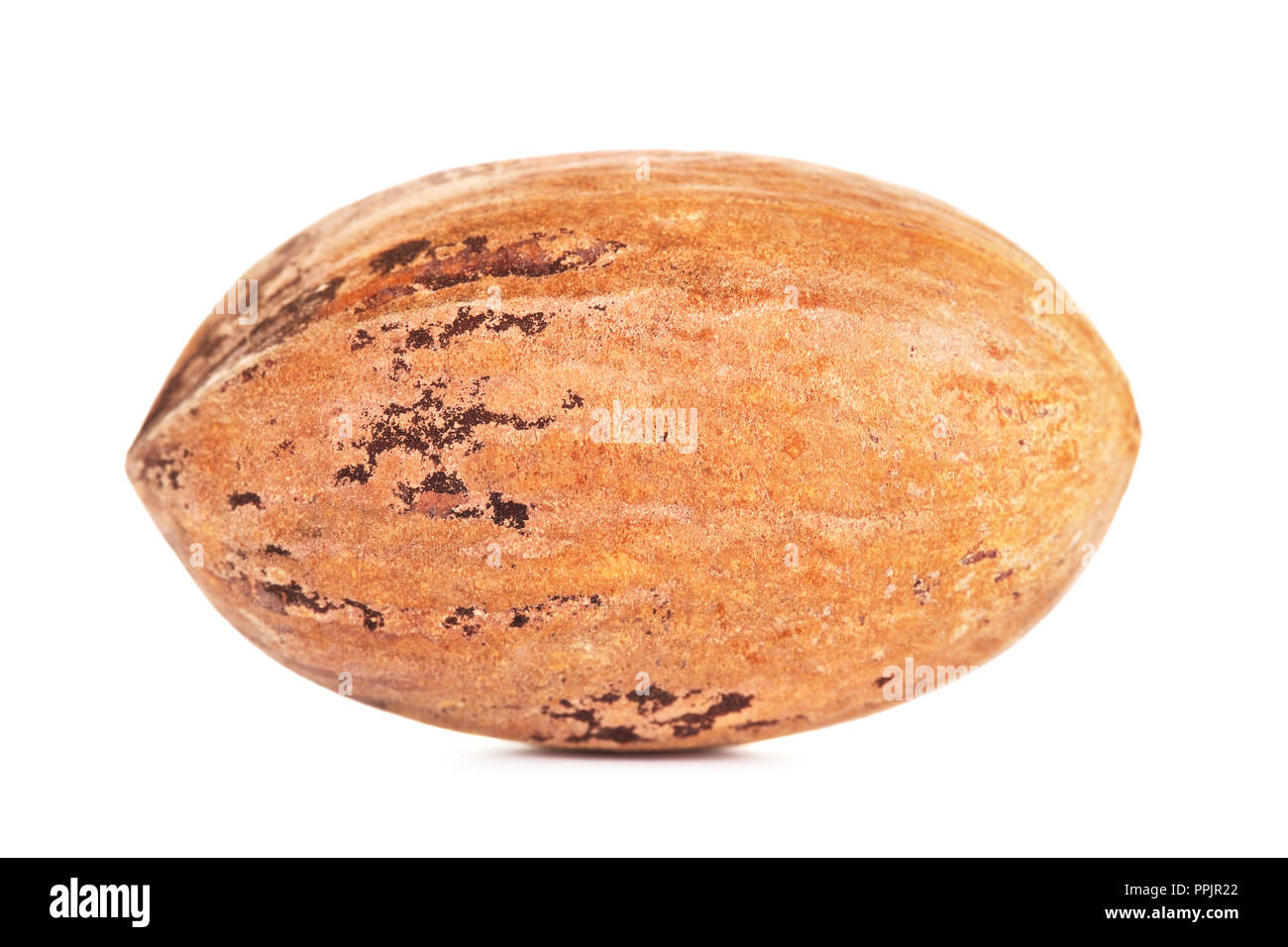 single pecan nut in a shell, isolated on white background Stock Photo ...