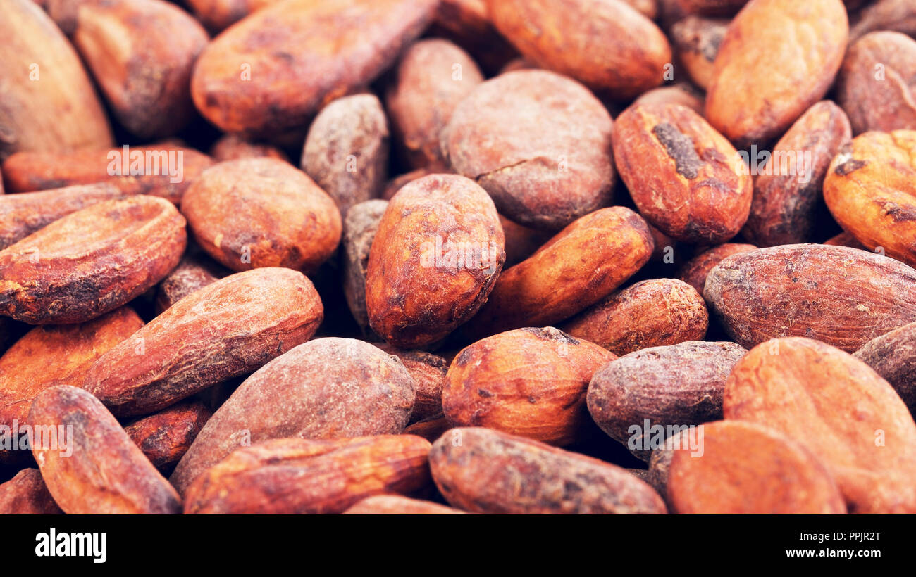 raw fresh whole cacao beans, food background Stock Photo - Alamy