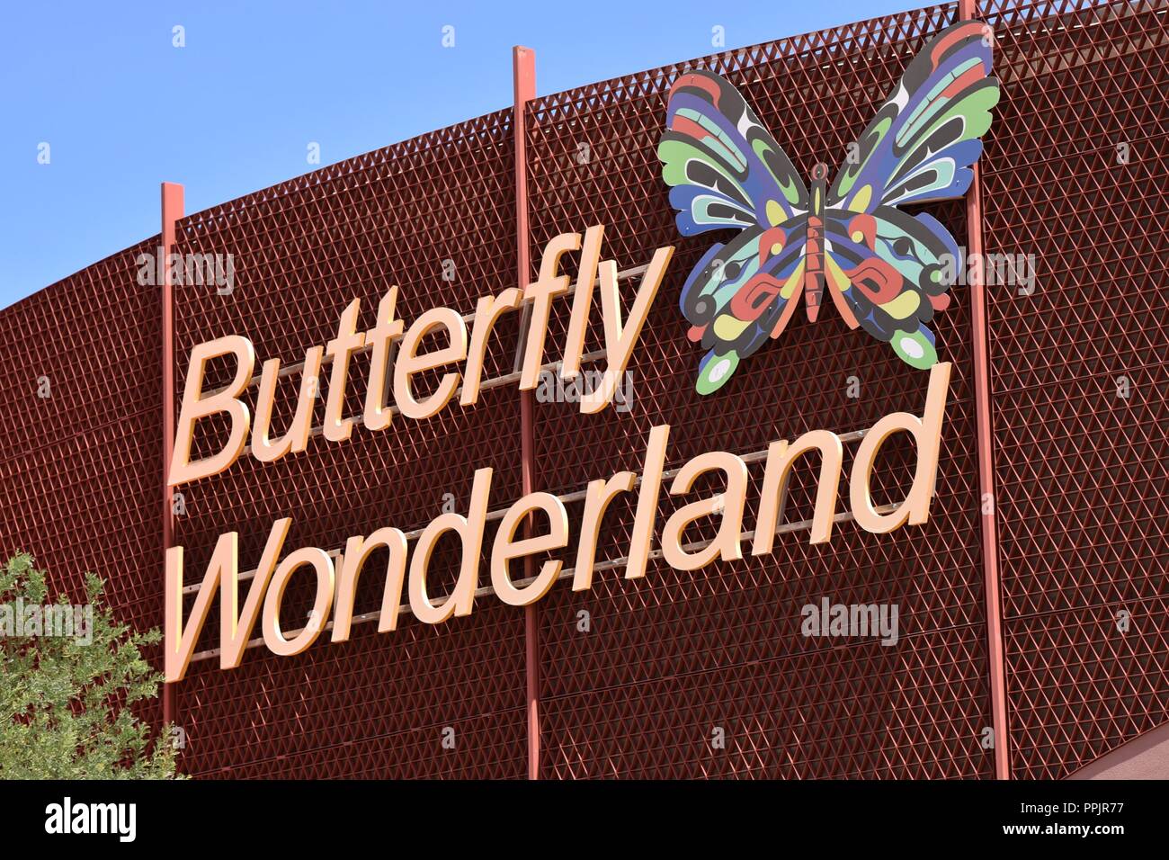 Insect wonderland hi-res stock photography and images - Alamy