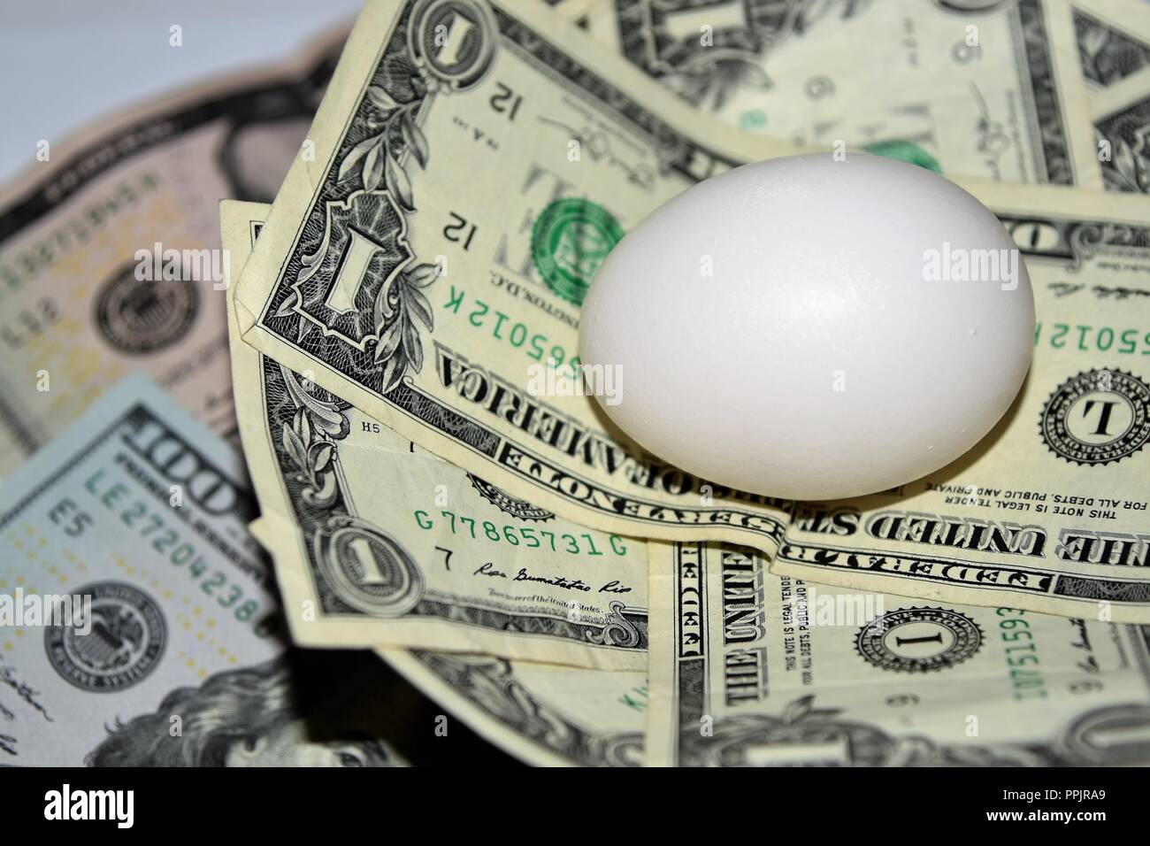 Financial concept of savings nest egg Stock Photo - Alamy