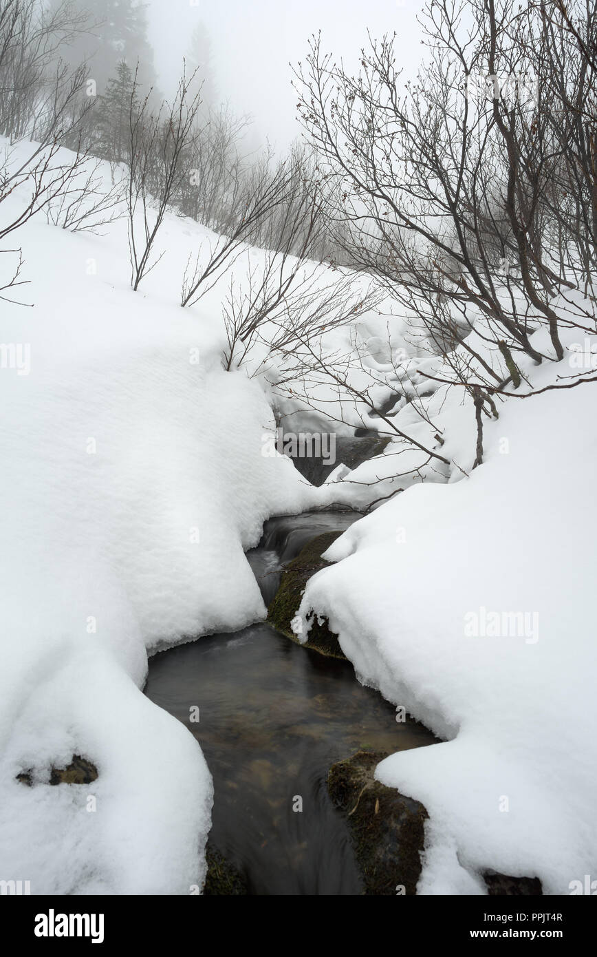 Snow beauty hi-res stock photography and images - Alamy