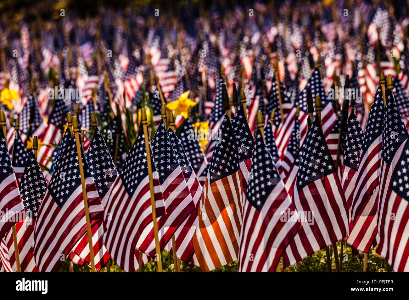 Field of Flags First Congregational Church Essex, Connecticut, USA ...
