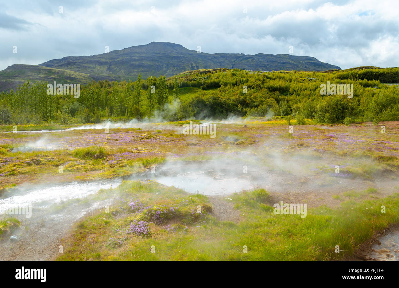 Thermal springs in Iceland, steaming in the distance Stock Photo - Alamy