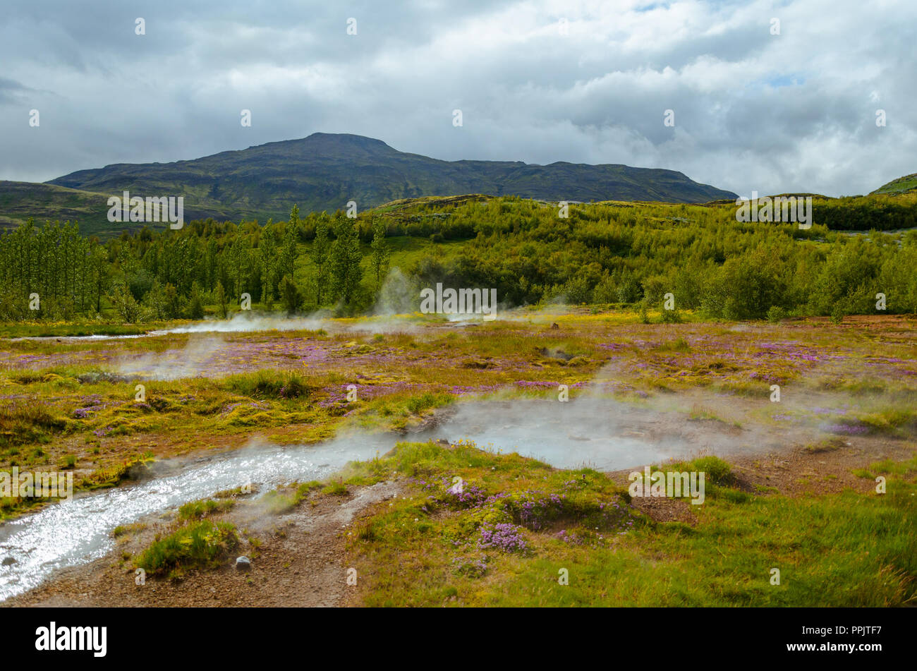 Thermal springs in Iceland, steaming in the distance Stock Photo - Alamy