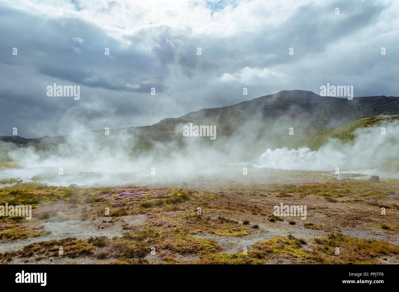 Thermal springs in Iceland, steaming in the distance Stock Photo - Alamy