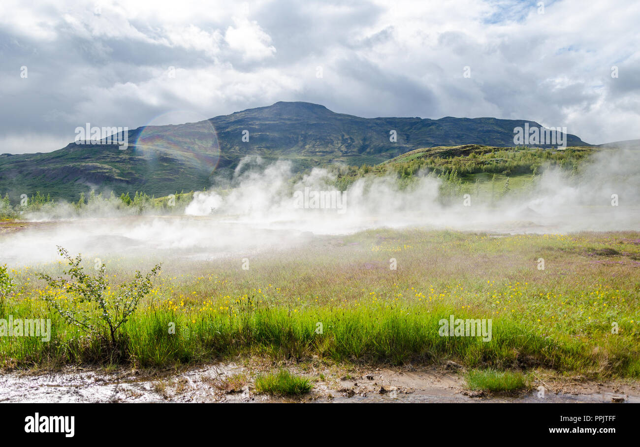 Thermal springs in Iceland, steaming in the distance Stock Photo - Alamy