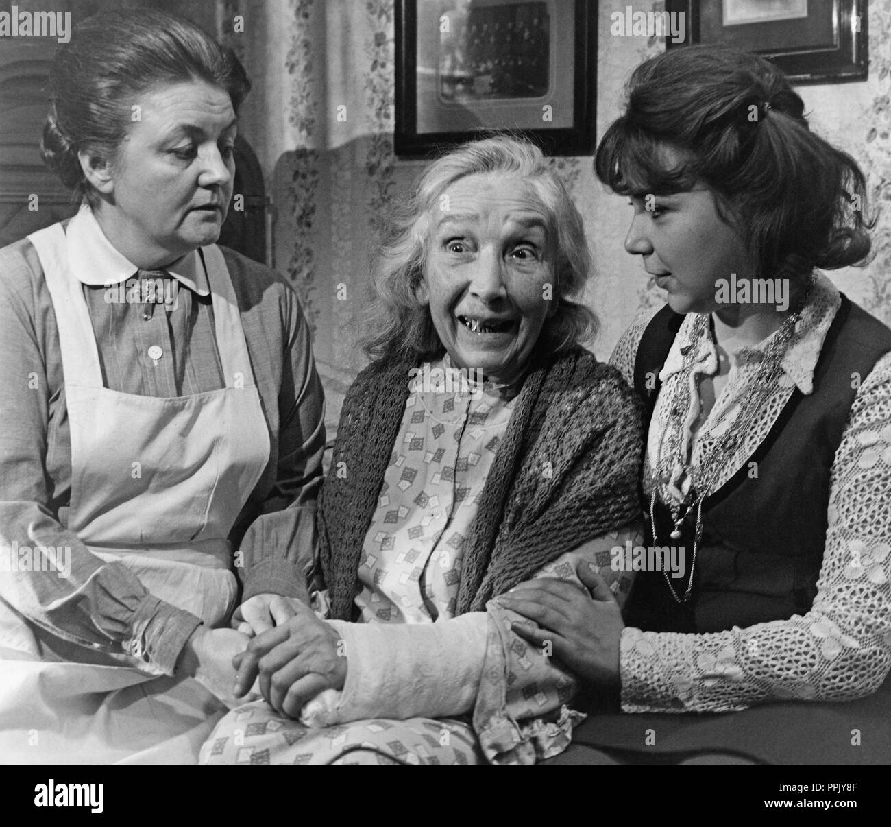 Rothweiler High Resolution Stock Photography and Images - Alamy