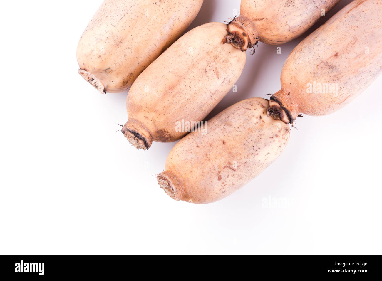 Cooking ingredient lotus root. Lotus root on white background Stock ...
