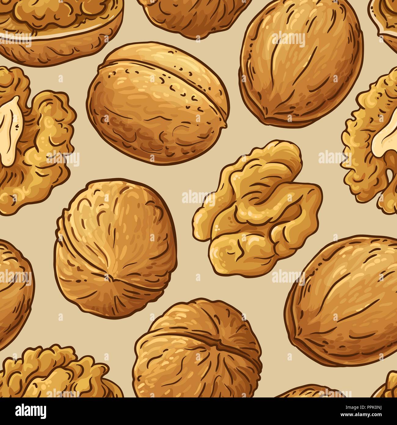 walnut vector pattern on color background Stock Vector Image & Art - Alamy