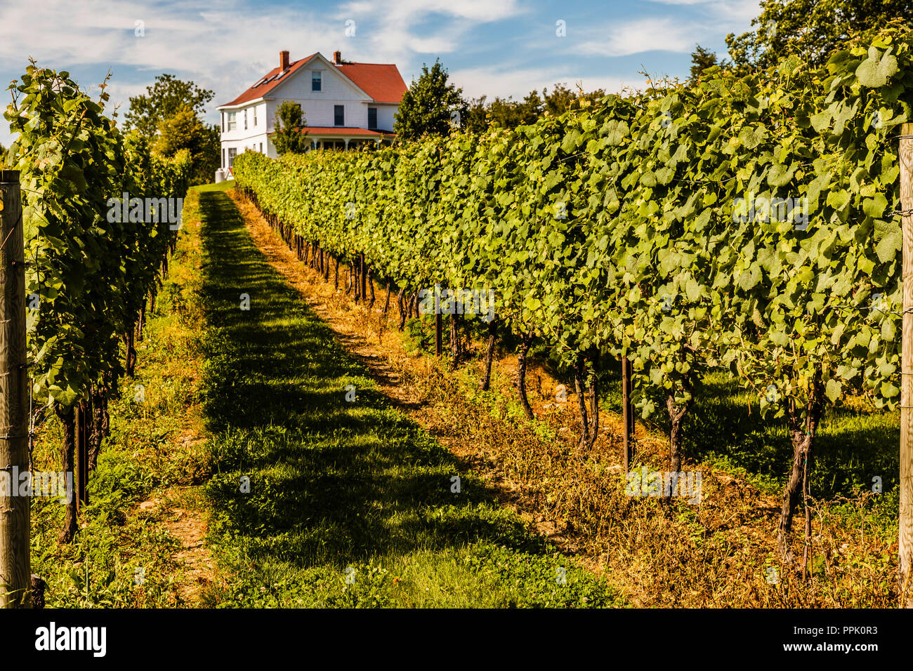 Jonathan Edwards Winery North Stonington, Connecticut, USA Stock Photo ...