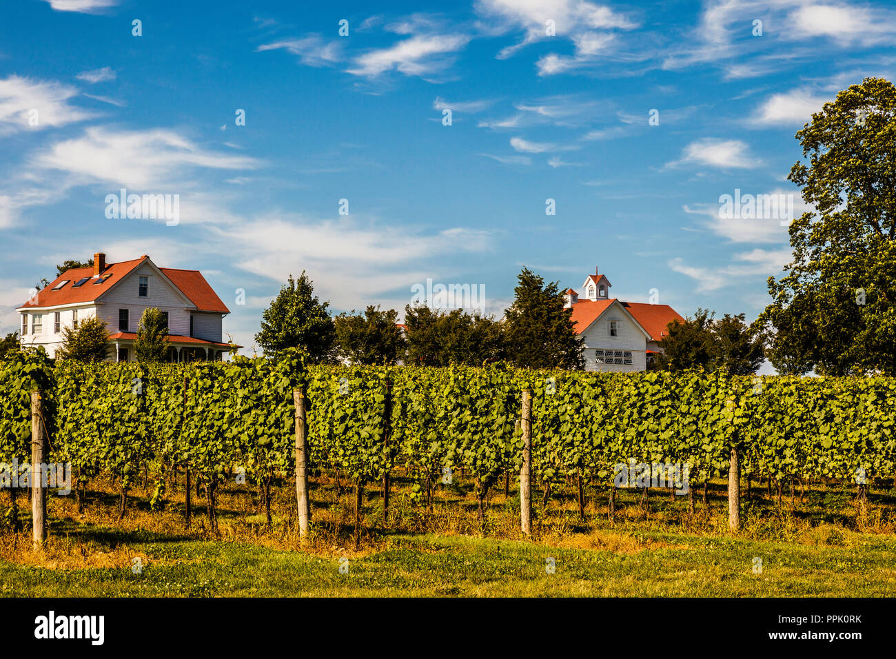 Jonathan edwards winery hi-res stock photography and images - Alamy