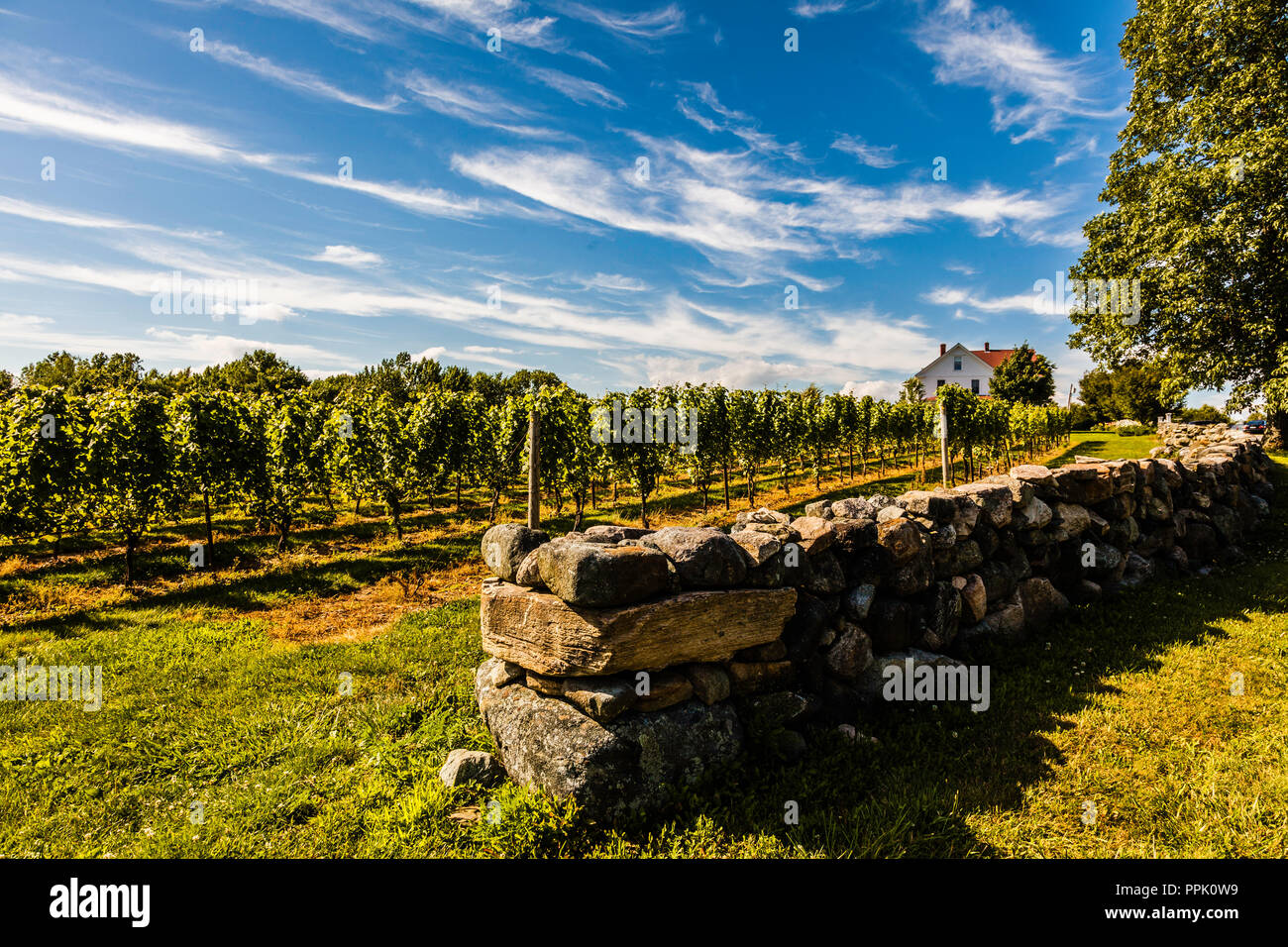 Jonathan Edwards Winery North Stonington, Connecticut, USA Stock Photo ...
