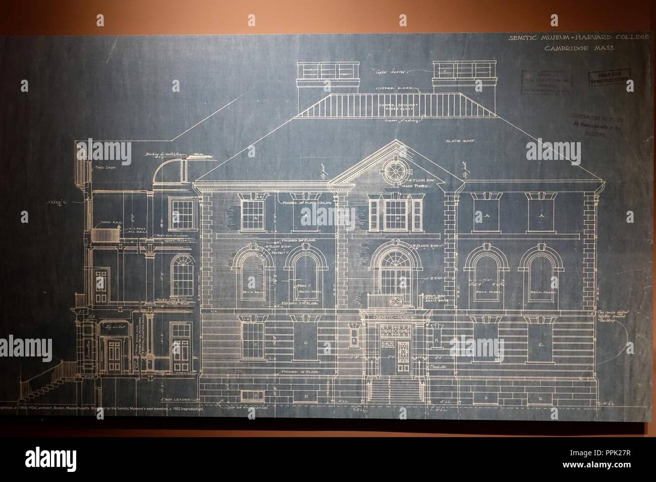 Blueprint of east elevation of the Harvard Semitic Museum, reproduction ...