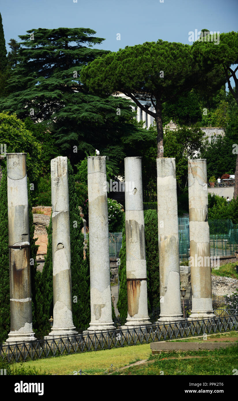 The Roman Forum was the heart of the city of ancient Rome Stock Photo ...