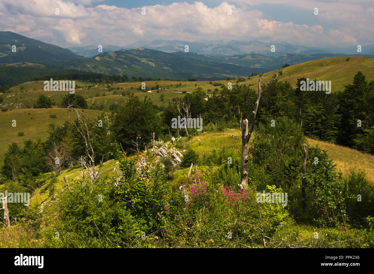 Zelengora mountain range hi-res stock photography and images - Alamy