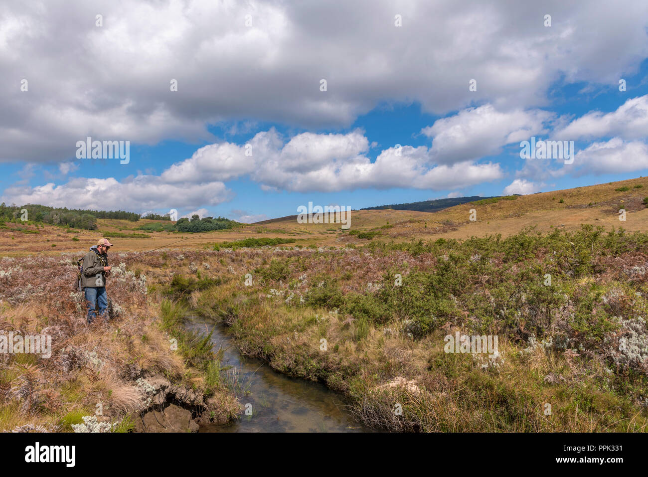 A fly fisherman plies the wild rivers of Nyanga National Park in ...
