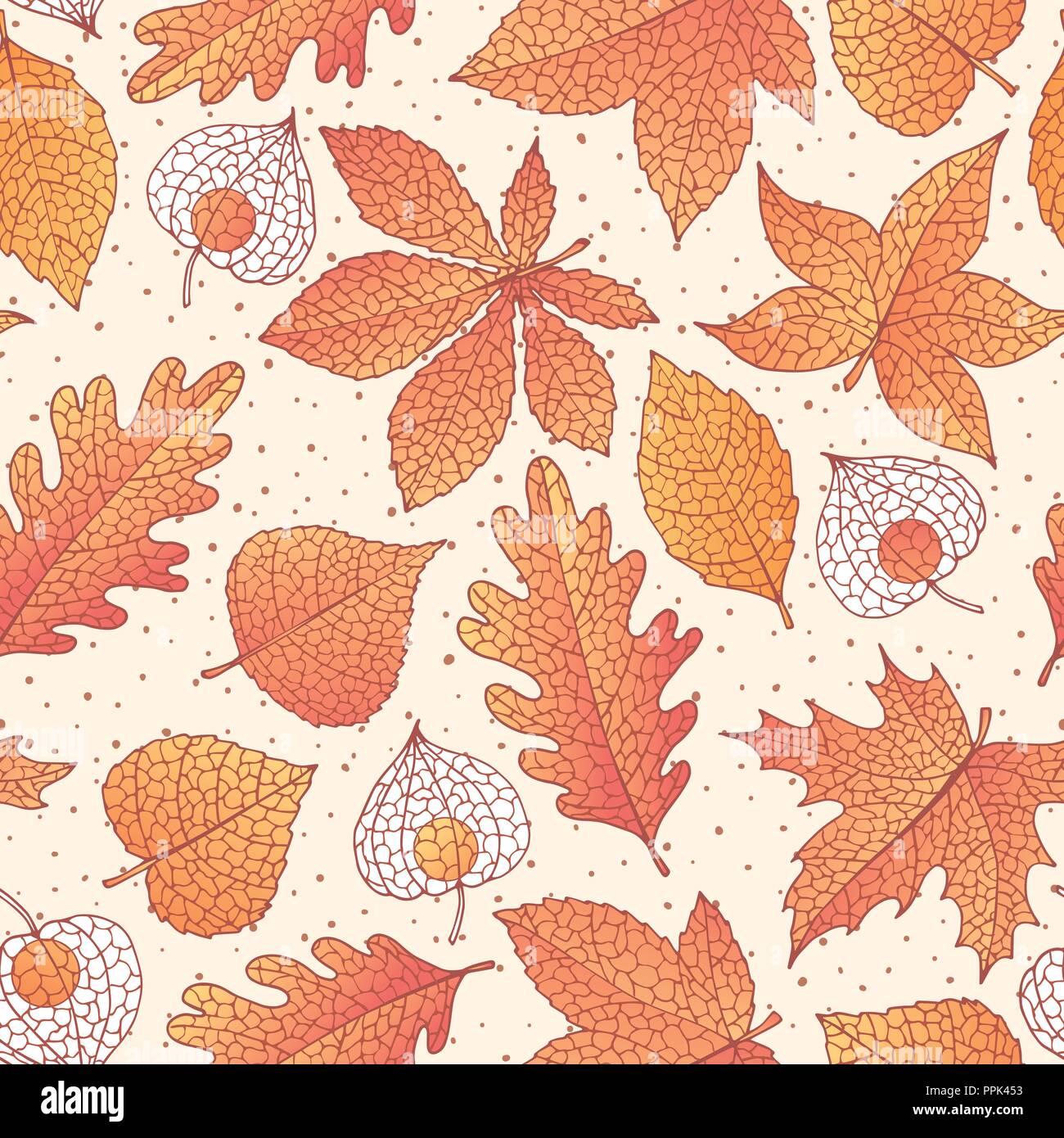 Beech leaves drawing hi-res stock photography and images - Alamy