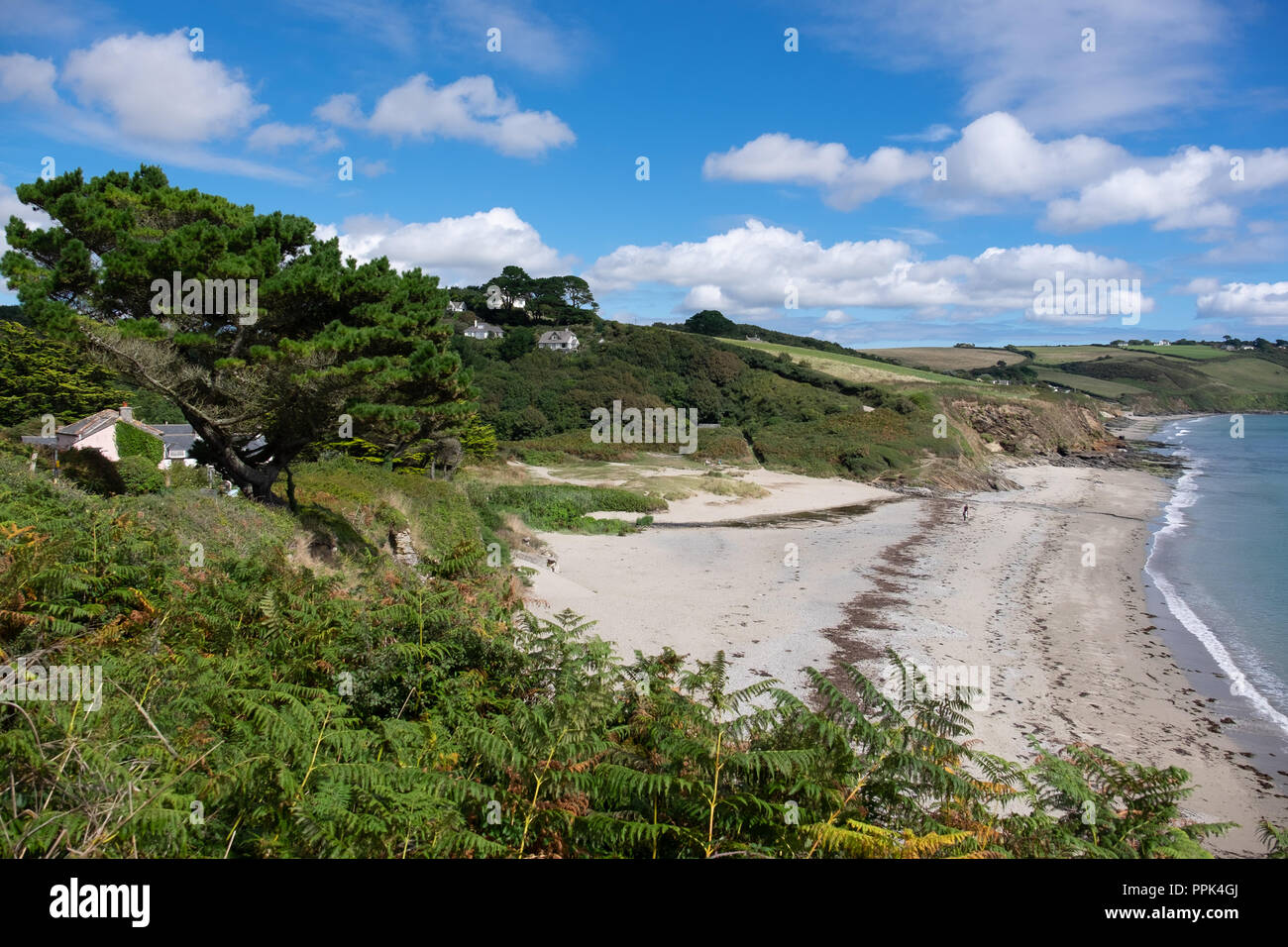 View from above of Pendower beach, near Veryan, Cornwall across the ...