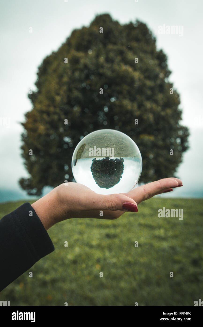 holding a glass ball infront of a tree in autumn Stock Photo - Alamy