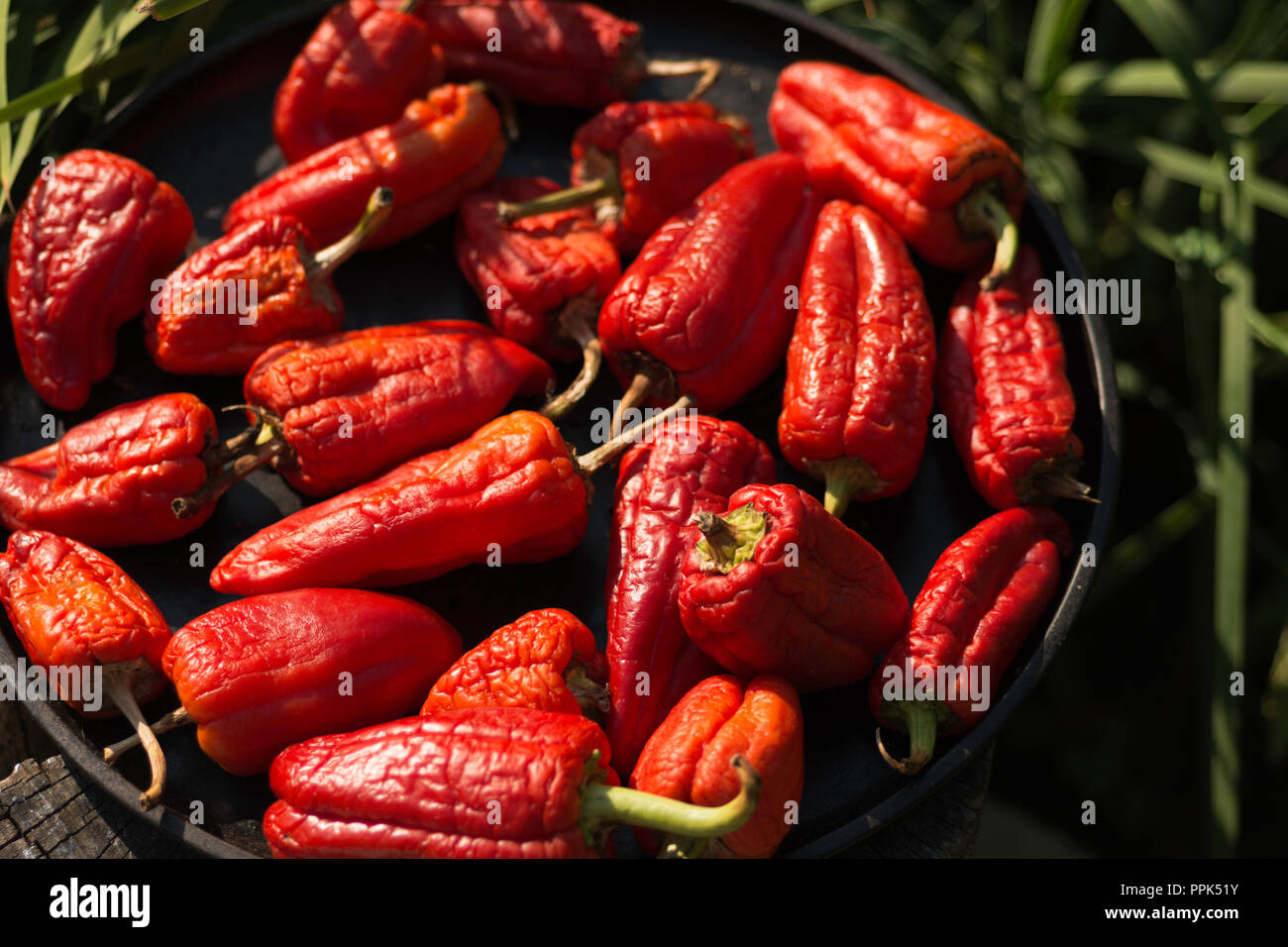 Sun drying pepper hi-res stock photography and images - Alamy