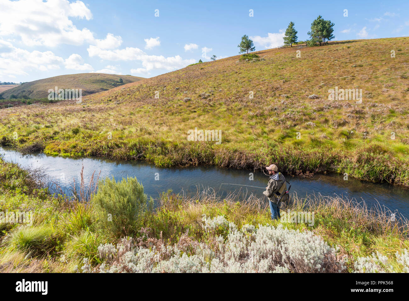 A fly fisherman plies the wild rivers of Nyanga National Park in ...