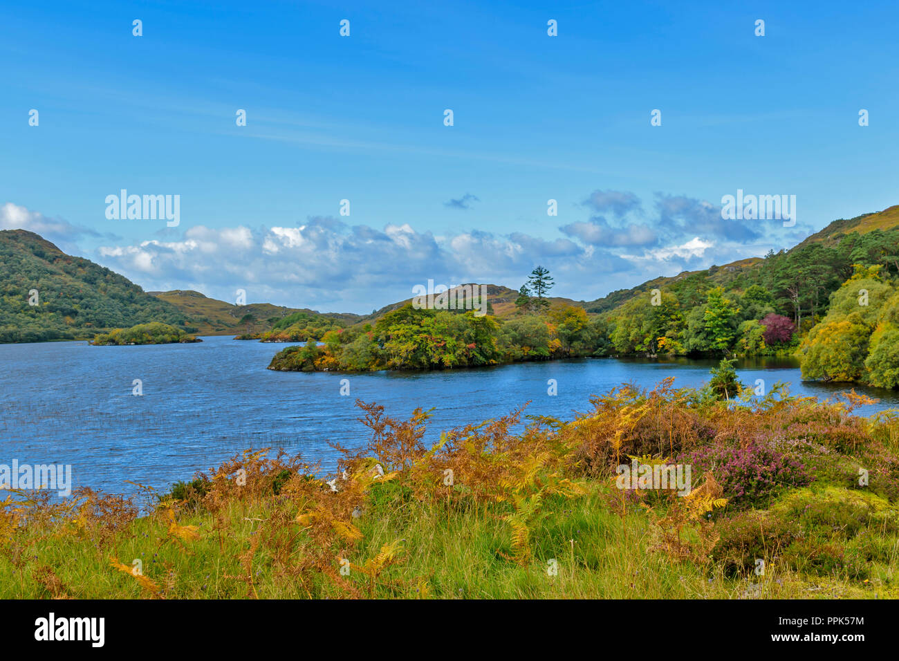 SUILVEN SUTHERLAND SCOTLAND AUTUMN COLOURS ON LOCH DRUIM SUARDALAIN ...