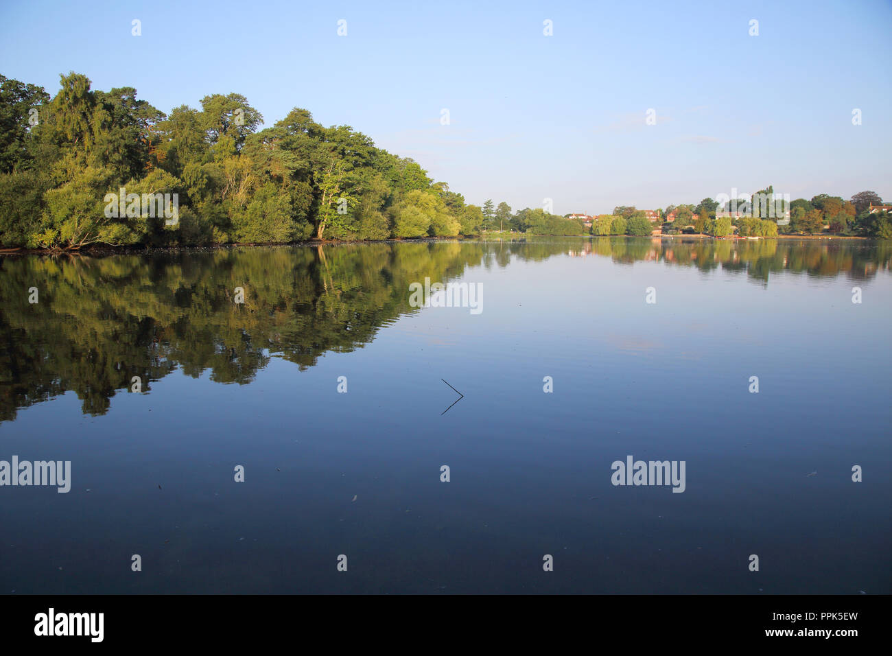 petersfield heath and lake Hampshire Stock Photo - Alamy