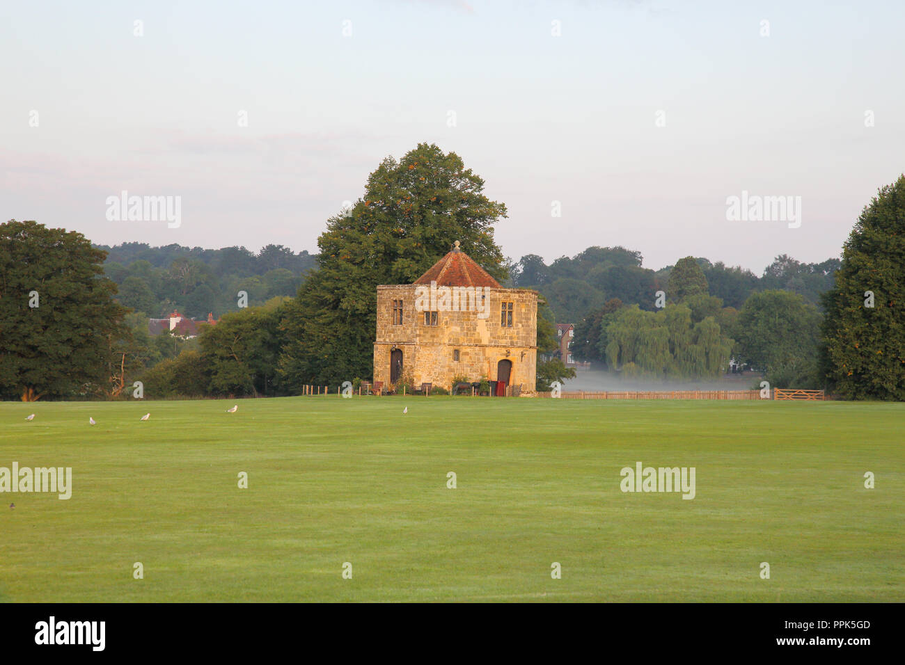 Cowdray park hi-res stock photography and images - Alamy