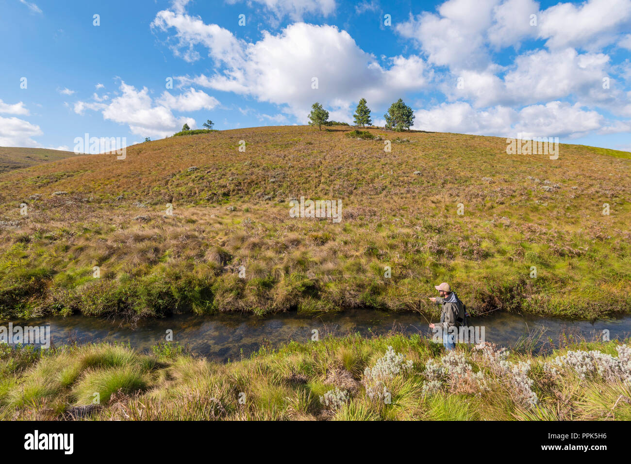 A fly fisherman plies the wild rivers of Nyanga National Park in ...
