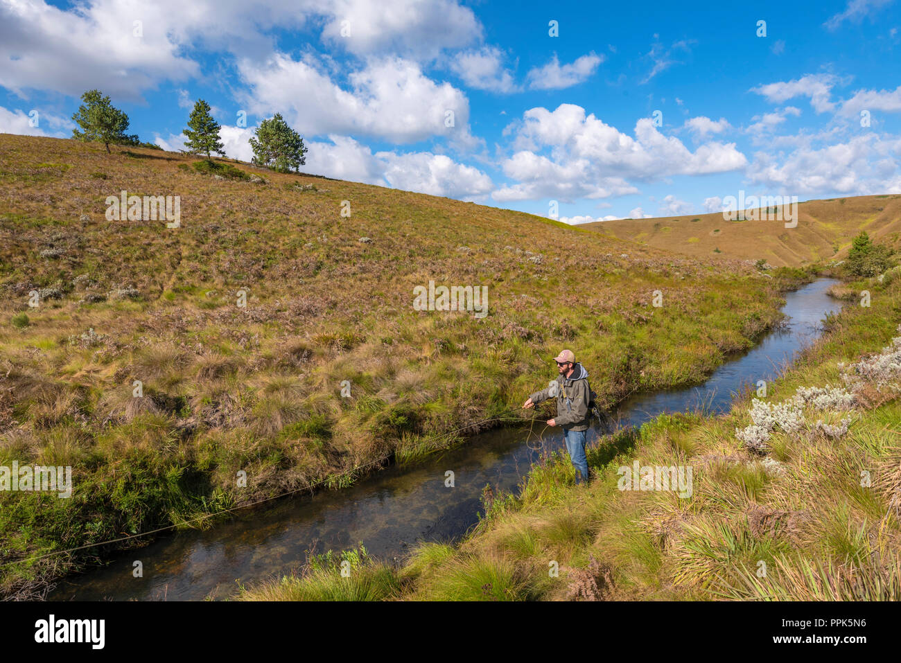 A fly fisherman plies the wild rivers of Nyanga National Park in ...