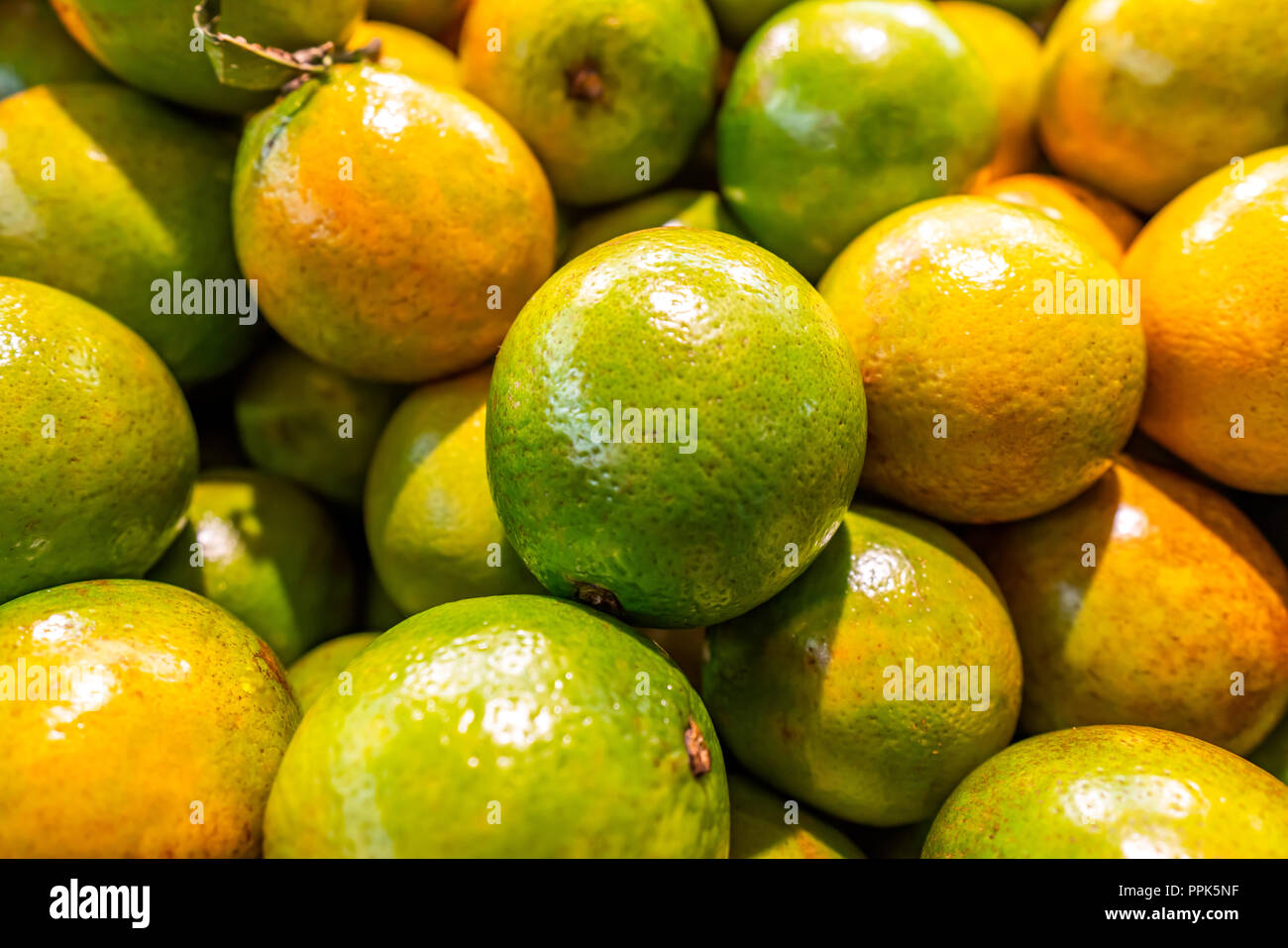 Fresh, bright, green oranges background Stock Photo - Alamy