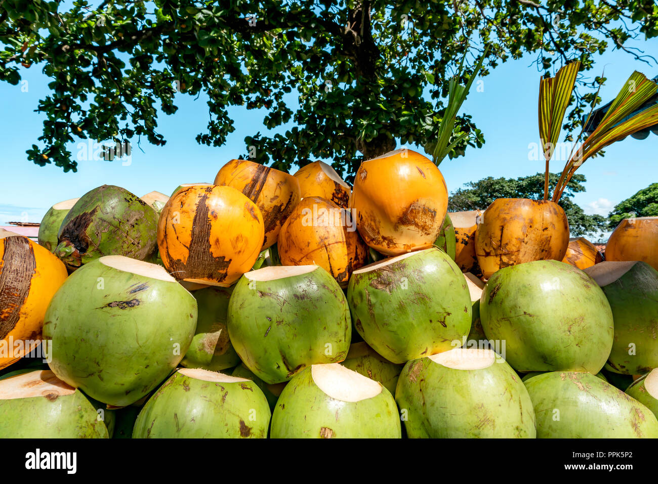 King coconut hi-res stock photography and images - Alamy