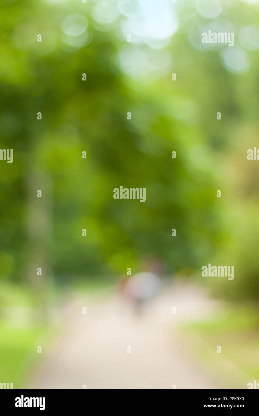 Blurry nature wallpaper. Forest bokeh background. Green defocused ...