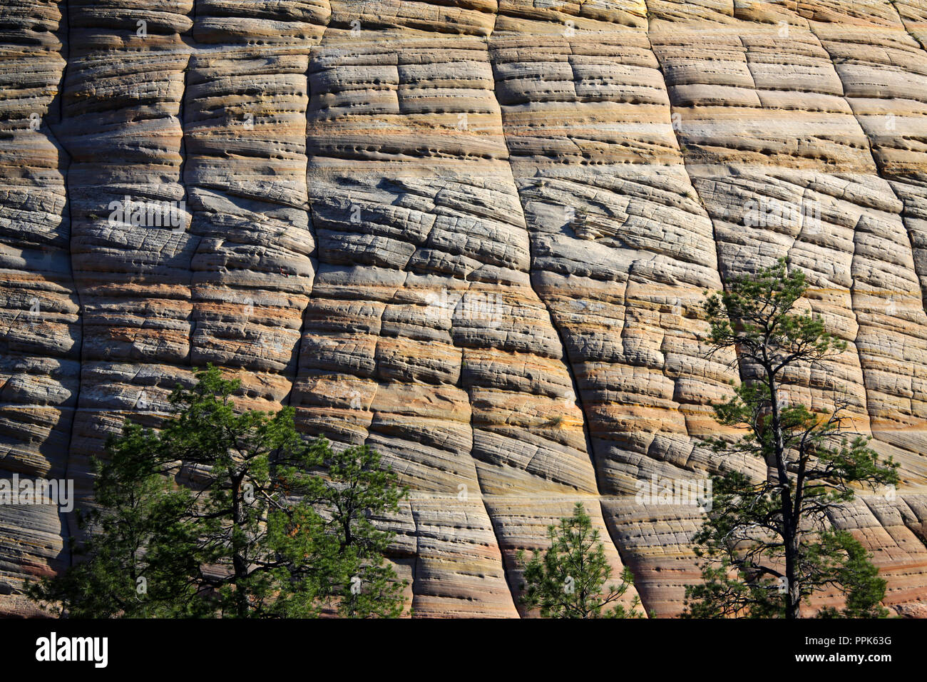 cross-bedded and fractured sandstone creating checker board pattern ...