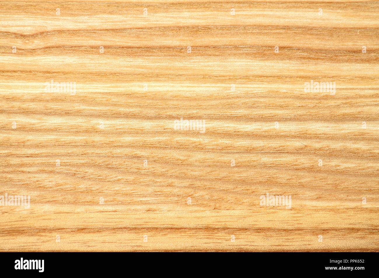 Texture of beech tree close-up. Natural wooden wallpaper Stock Photo ...