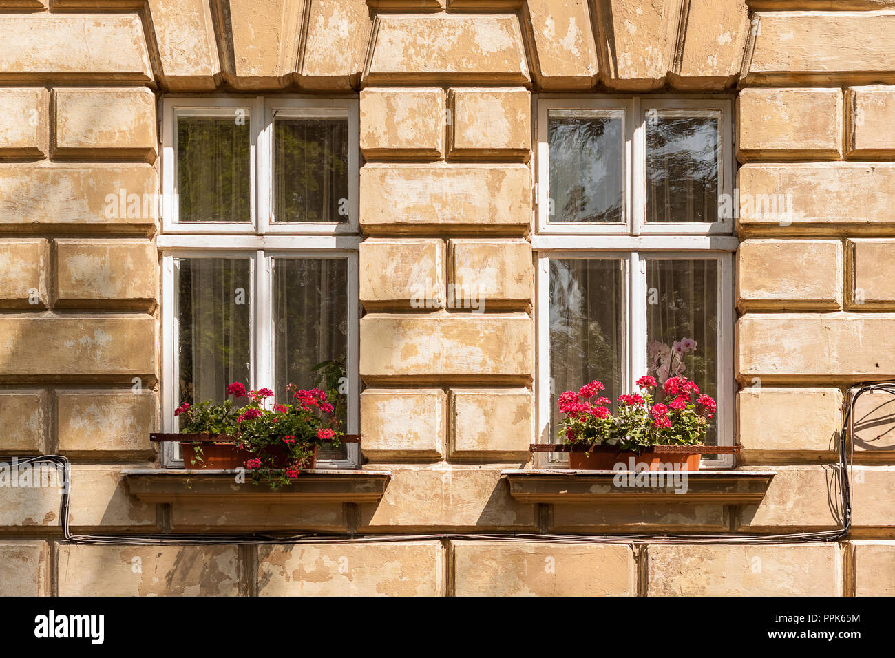 Facade of antique historical building. Windows with flowers. Lviv ...