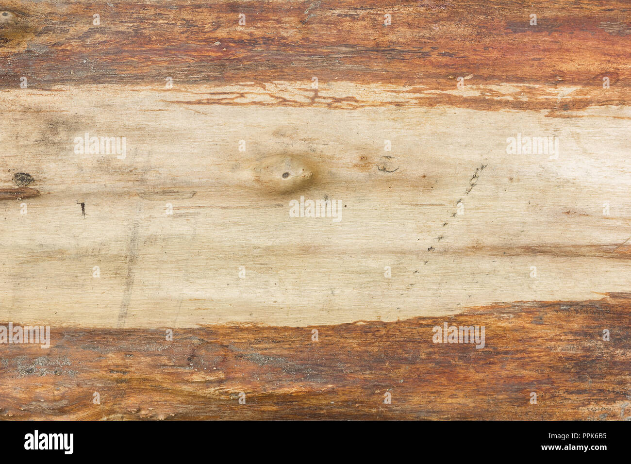 old tree without bark close-up. Grunge wallpaper Stock Photo - Alamy