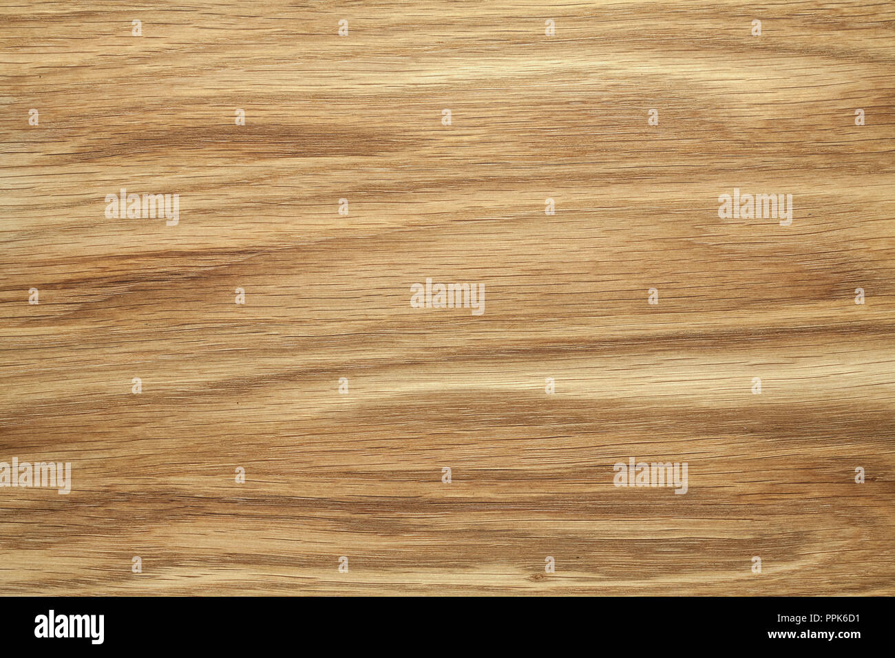 Oak tree texture Stock Photo - Alamy