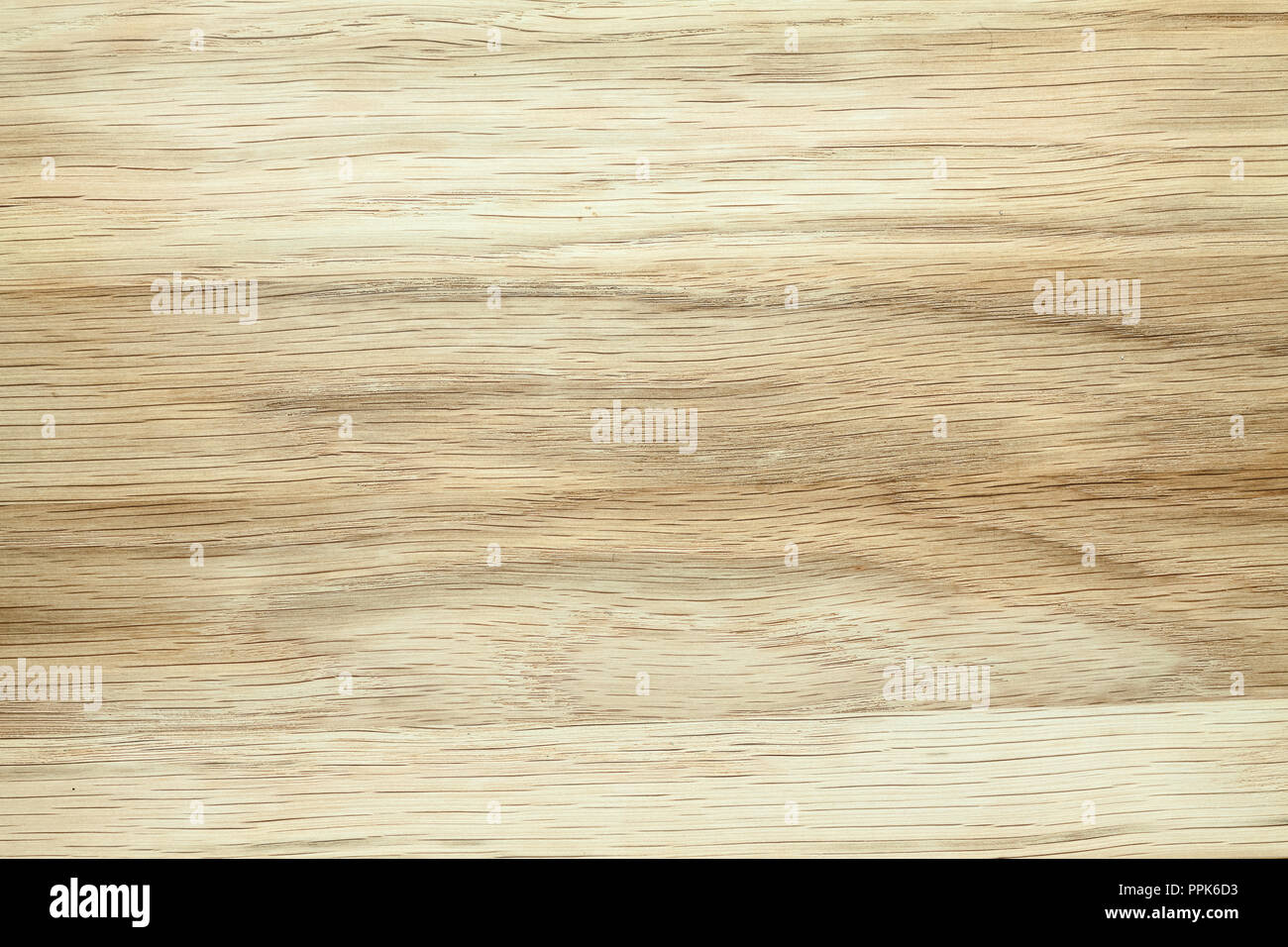 Oak tree texture Stock Photo - Alamy